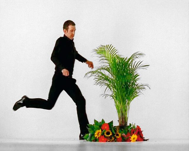 ‘Figure + Ground’: Program Two Screening - Hauser & Wirth